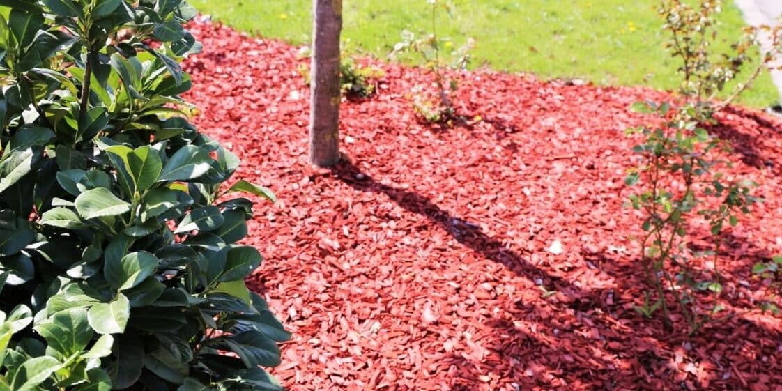 Jardin : quels sont les différents types de paillage