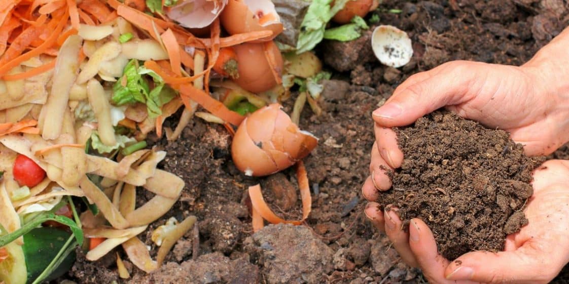 Comment accélérer la maturation du compost : quand couvrir et quand ...