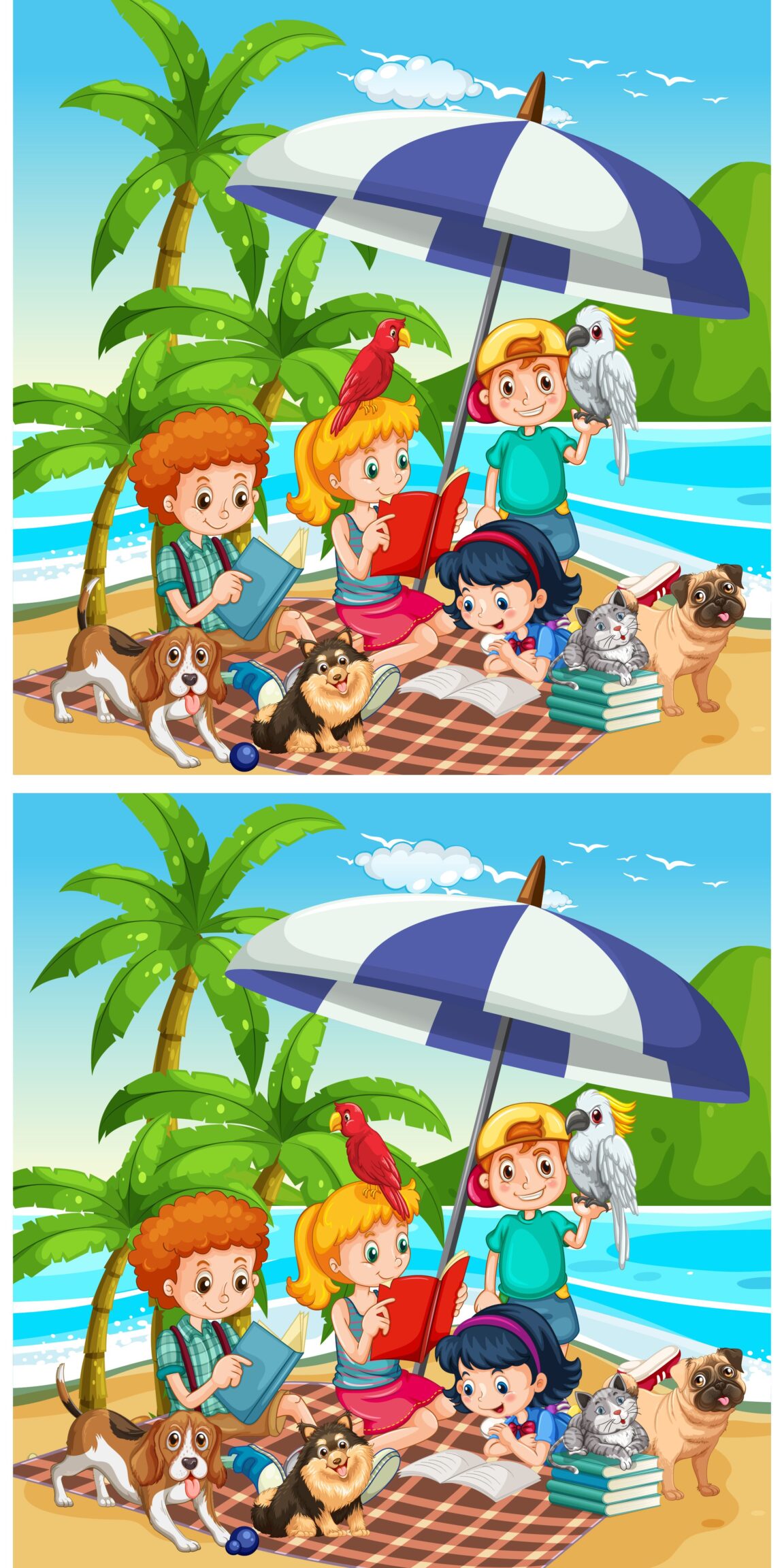 Test visuel : Niveau difficile, allez-vous trouver les 12 différences ...