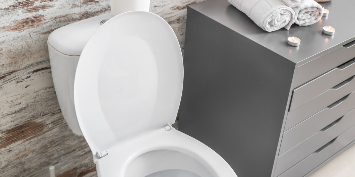 Comment venir à bout des vers blancs dans les toilettes avec des ...