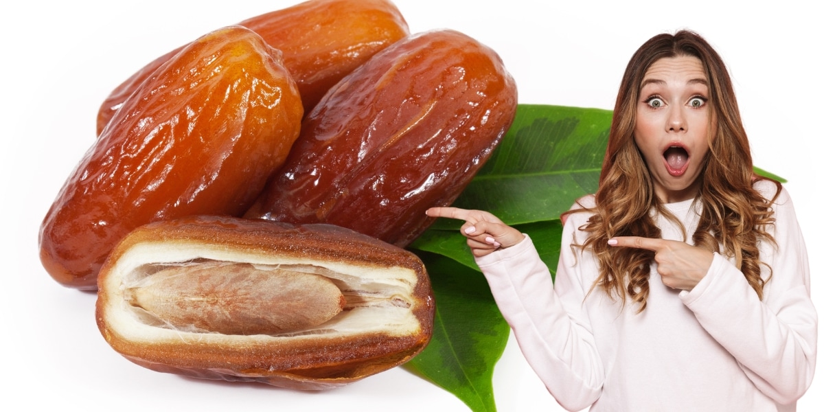Cultiver un palmier à partir d'un noyau de datte : Guide écologique et ...